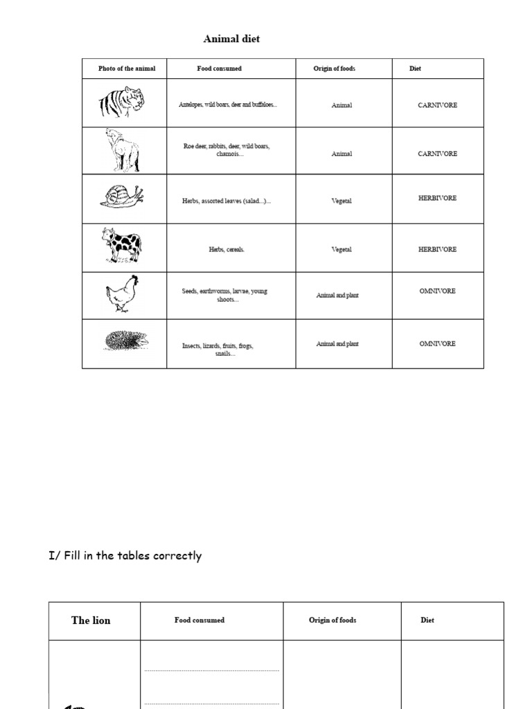 Understanding Animal Diets and Categories | PDF | Foods | Zoology