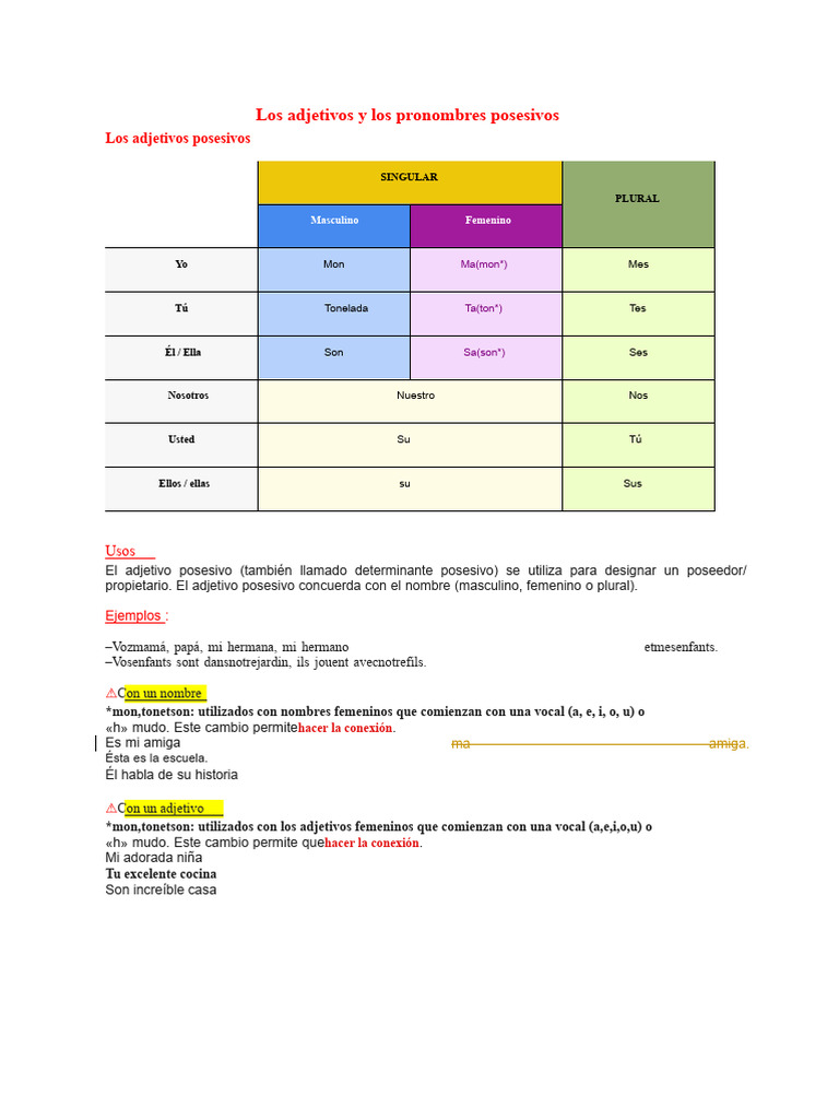 5 Los Adjetivos Y Los Pronombres Posesivos | PDF | Adjetivo | Plural