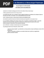 Anatomie du Corps Géniculé Latéral | PDF | Système visuel | Vision