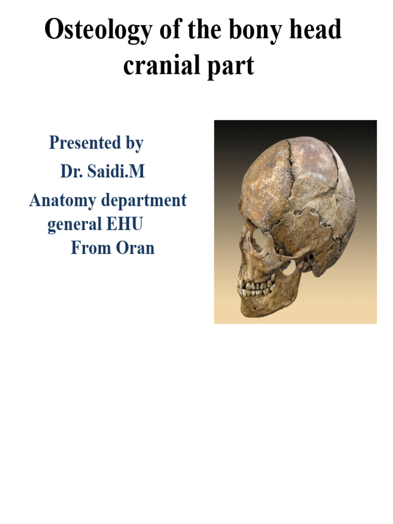 1-Osteology of The Bony Head PDF | PDF | Skull | Primate Anatomy