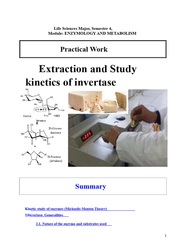 Enzymology Lab Invertase Handout | PDF | Enzyme | Enzyme Kinetics