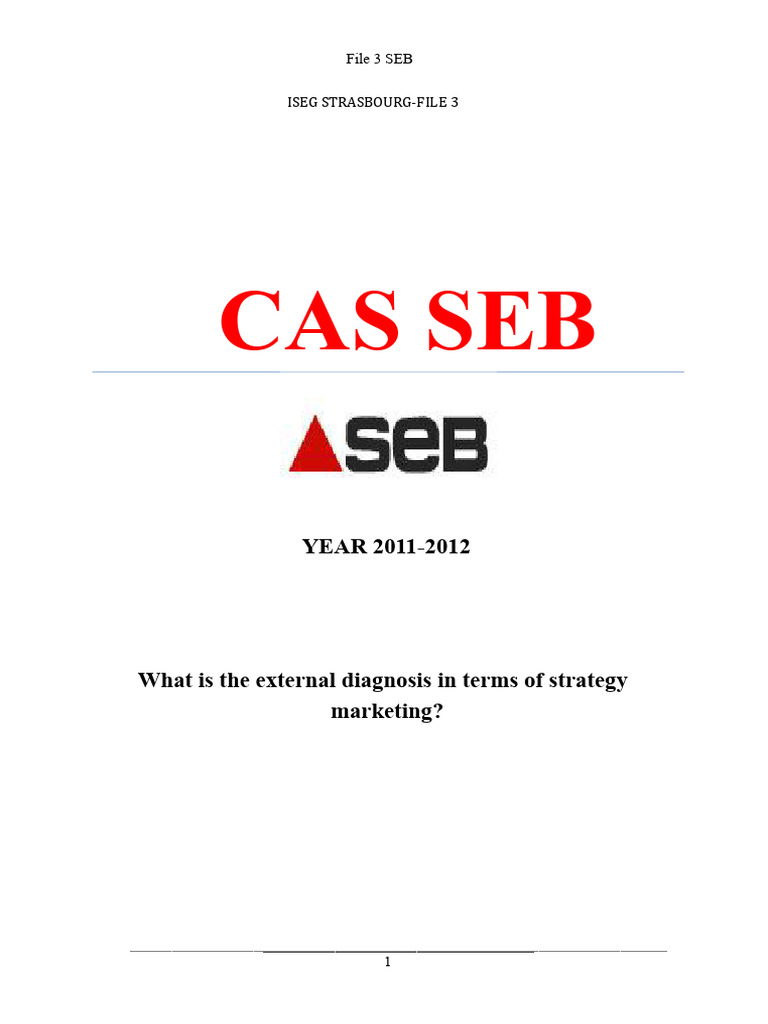 File 3 Seb | PDF | Brand | New Product Development