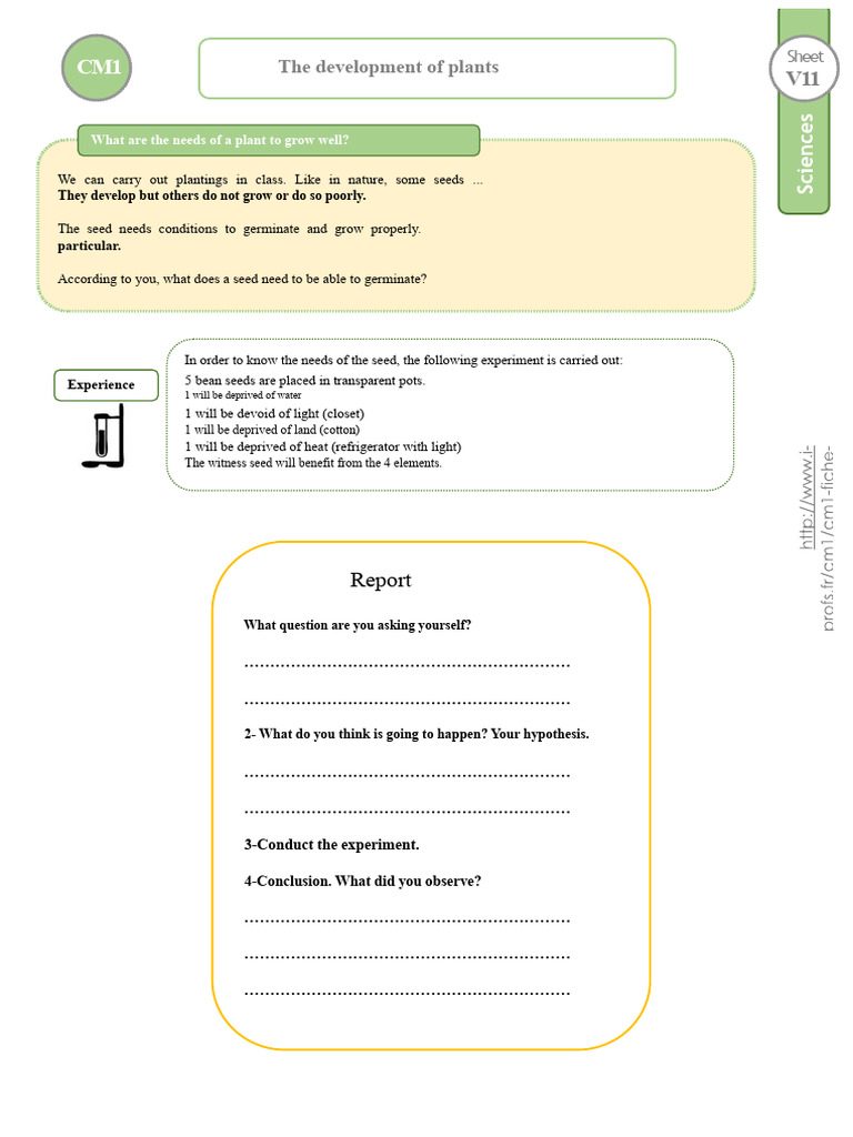 Cm1 Written Record on Plant Development | PDF | Plants | Seed