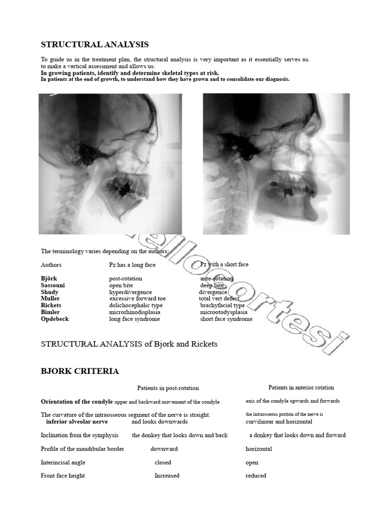 Structural analysis | PDF | Human Head And Neck | Human Anatomy