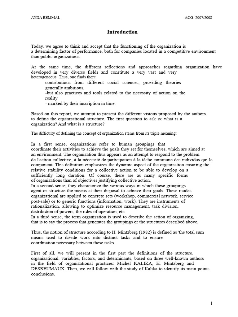 Organizational Structure Report | PDF | Organizational Structure | System