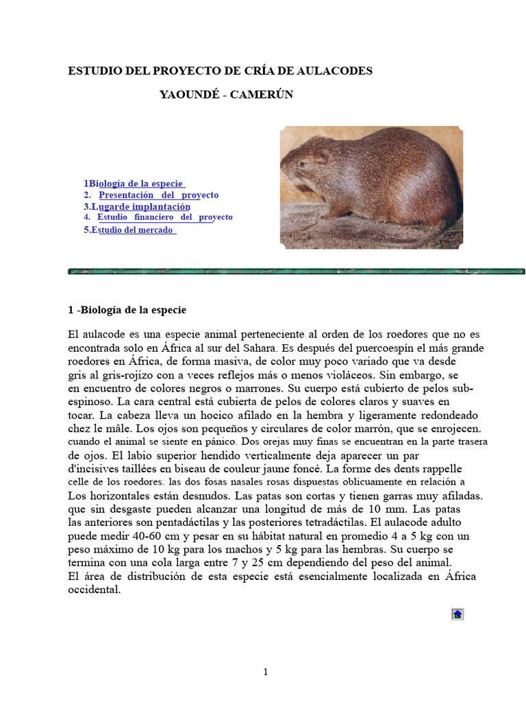 Estudio Del Proyecto Del Aulacode | PDF | Roedor | edificio