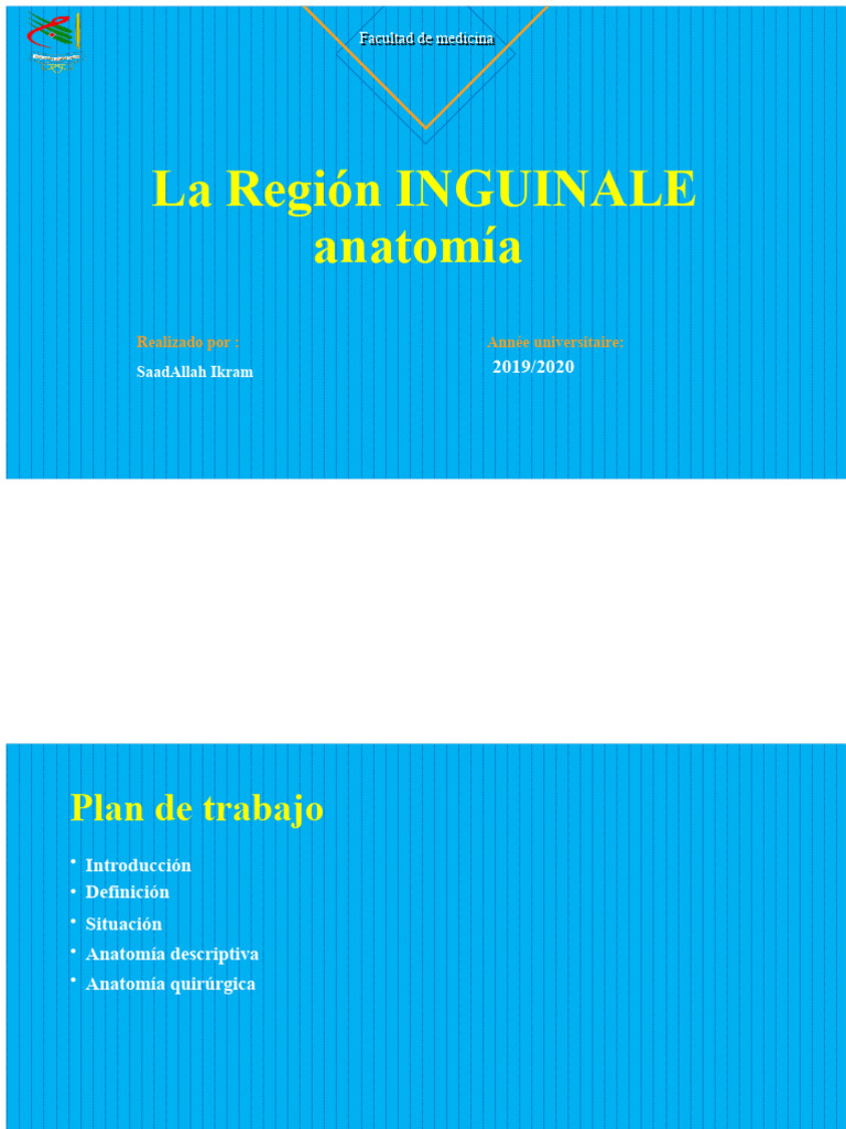 Anatomía de la Región Inguinal y Quirúrgica | PDF | Abdomen | Sistema ...