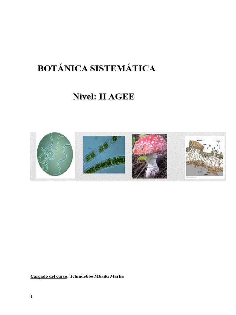 Curso de Botánica Nivel II | PDF | Hongo | Botánica