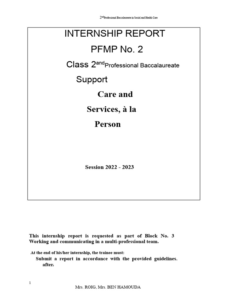 Internship Report: Social & Health Care | PDF | Computing
