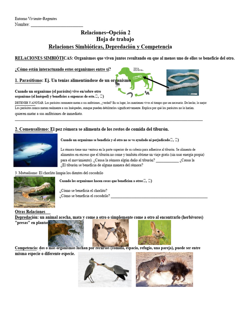 Paquete Sobre Relaciones Simbióticas, Depredación y Competencia PDF ...