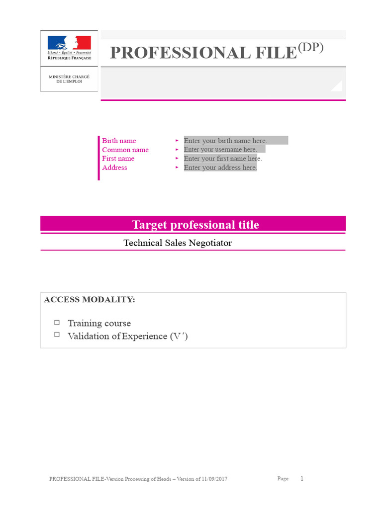 01-Professional File Model NTC | PDF | Menu