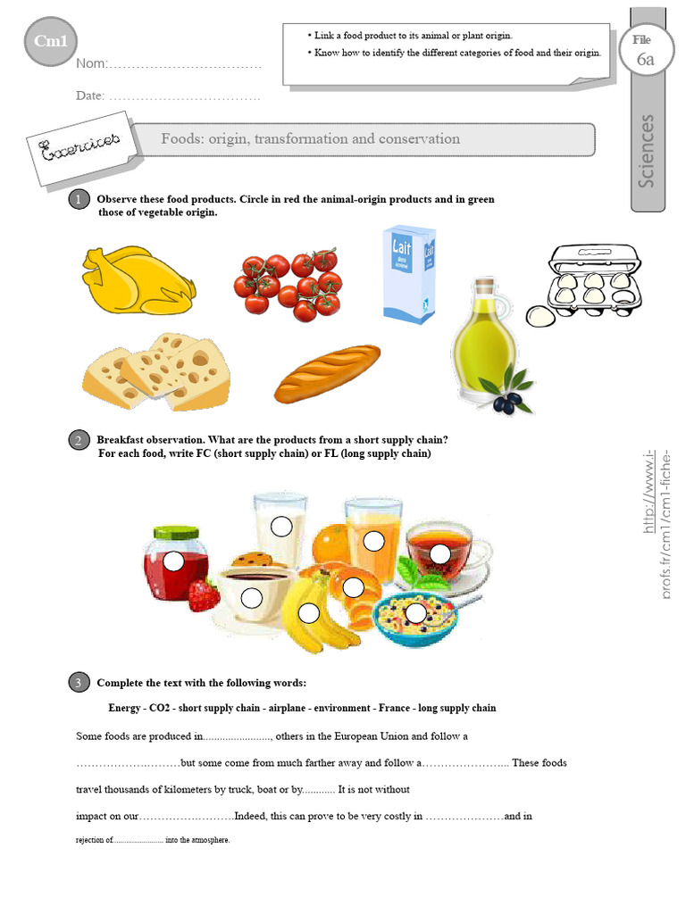 Food Origins and Supply Chain Insights | PDF | Foods | Supply Chain
