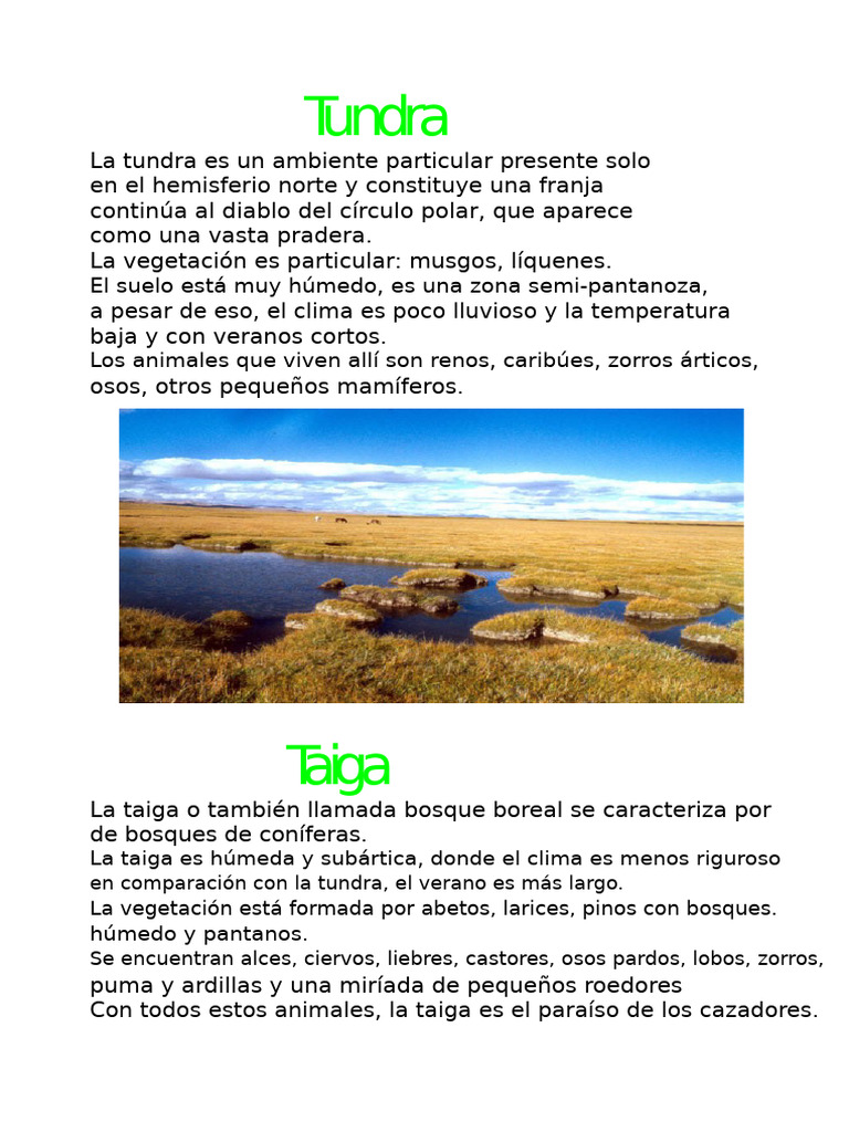 Taiga, Tundra y Estepa A. Benetti | PDF