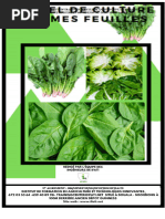 Ocean Crops in Coral Island Guide | PDF | Vegetables | Botany