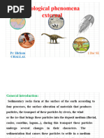 CIRIA Chalk Classification Guide | PDF | Clastic Rock | Gravel