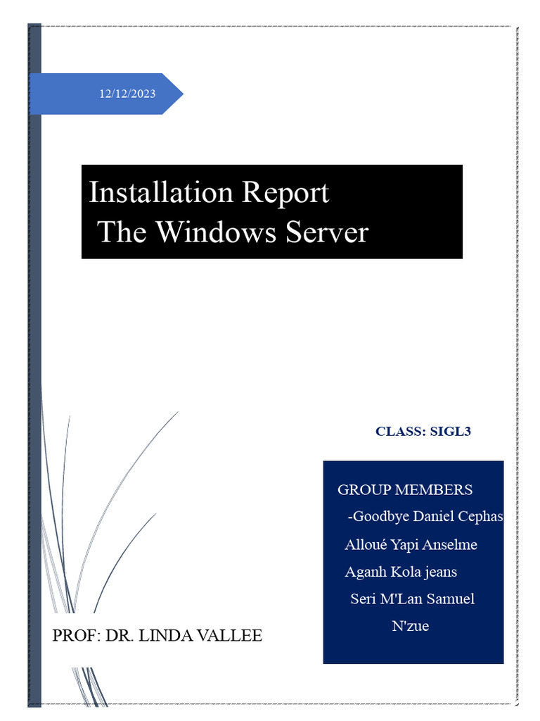 Windows Server Report | PDF | Active Directory | Directory (Computing)
