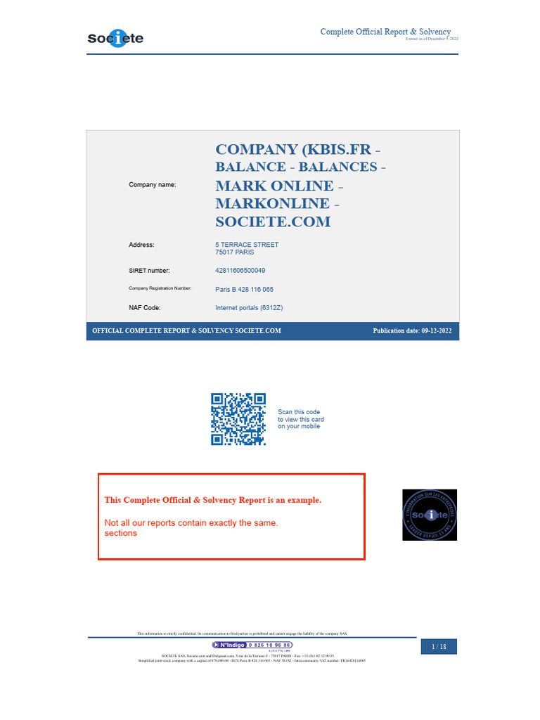 Official Solvency Report - December 2022 | PDF | Balance Sheet | Equity ...