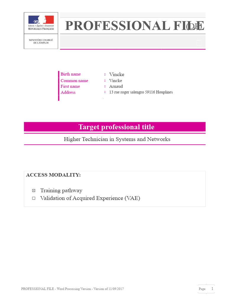 Professional File Arnaud Vincke | PDF | Server (Computing) | Remote ...