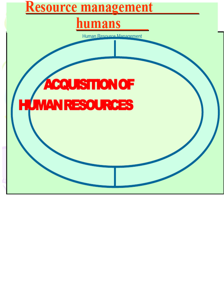 Human Resource Management Strategies | PDF | Human Resource Management ...