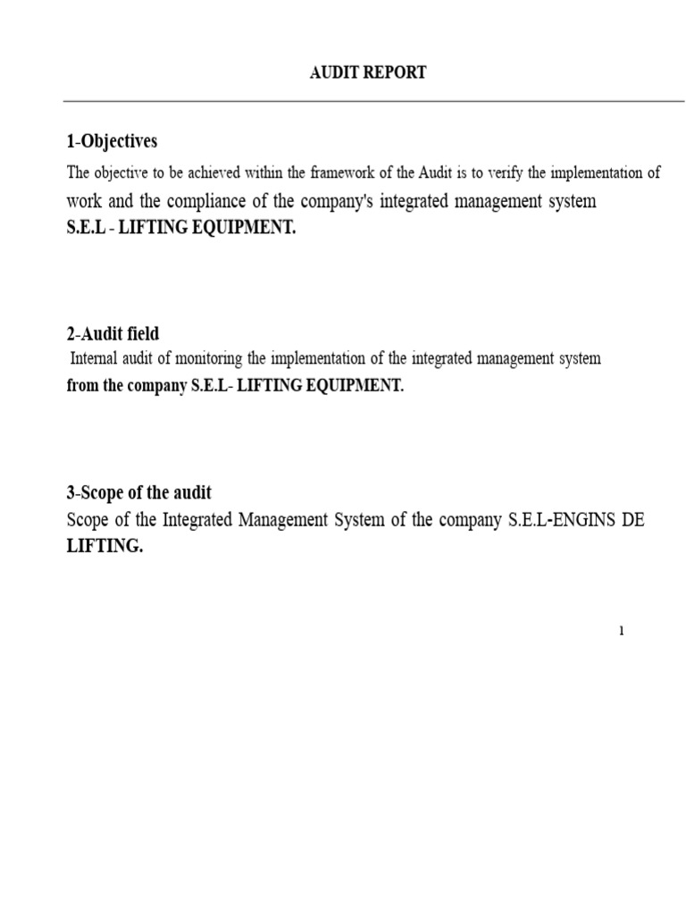 Example Audit Report PDF (1) | PDF | Audit | Internal Audit