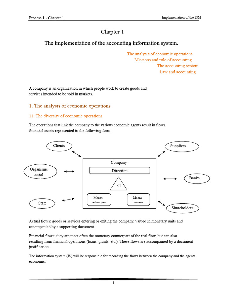 The Implementation of The Accounting Information System. | PDF | Debits ...
