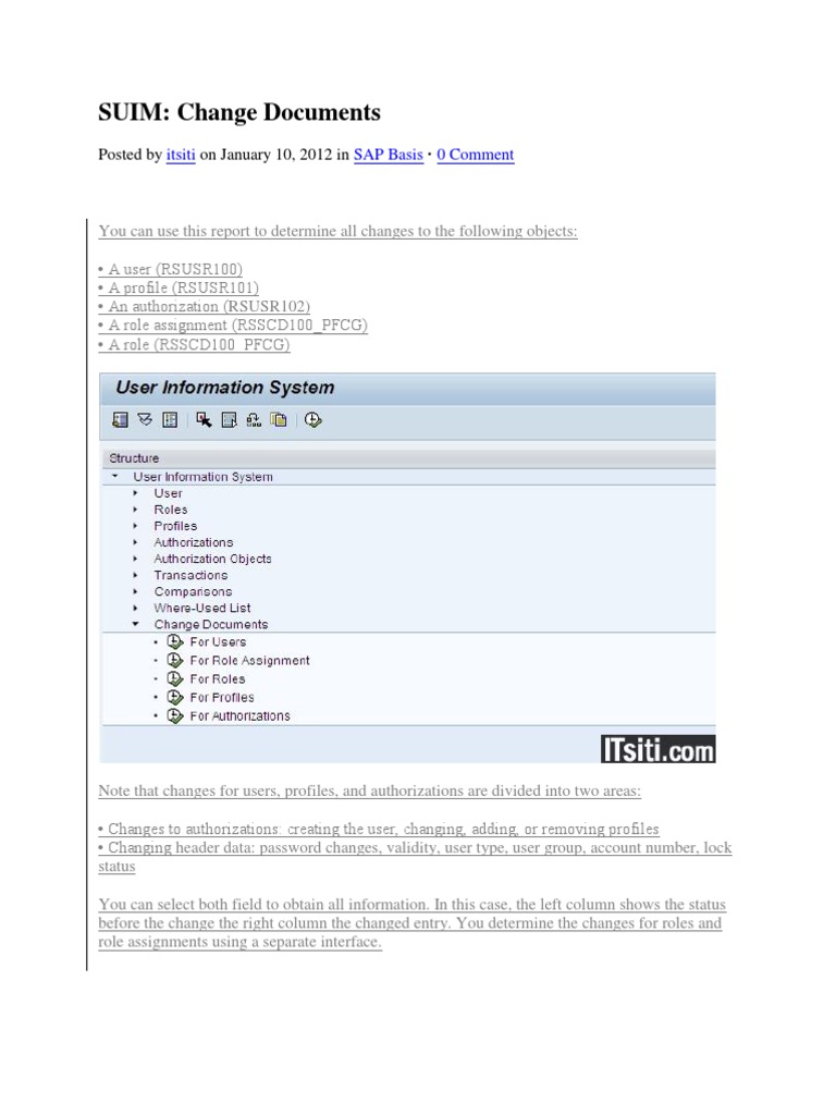 Sap Roles | PDF | User (Computing) | Databases