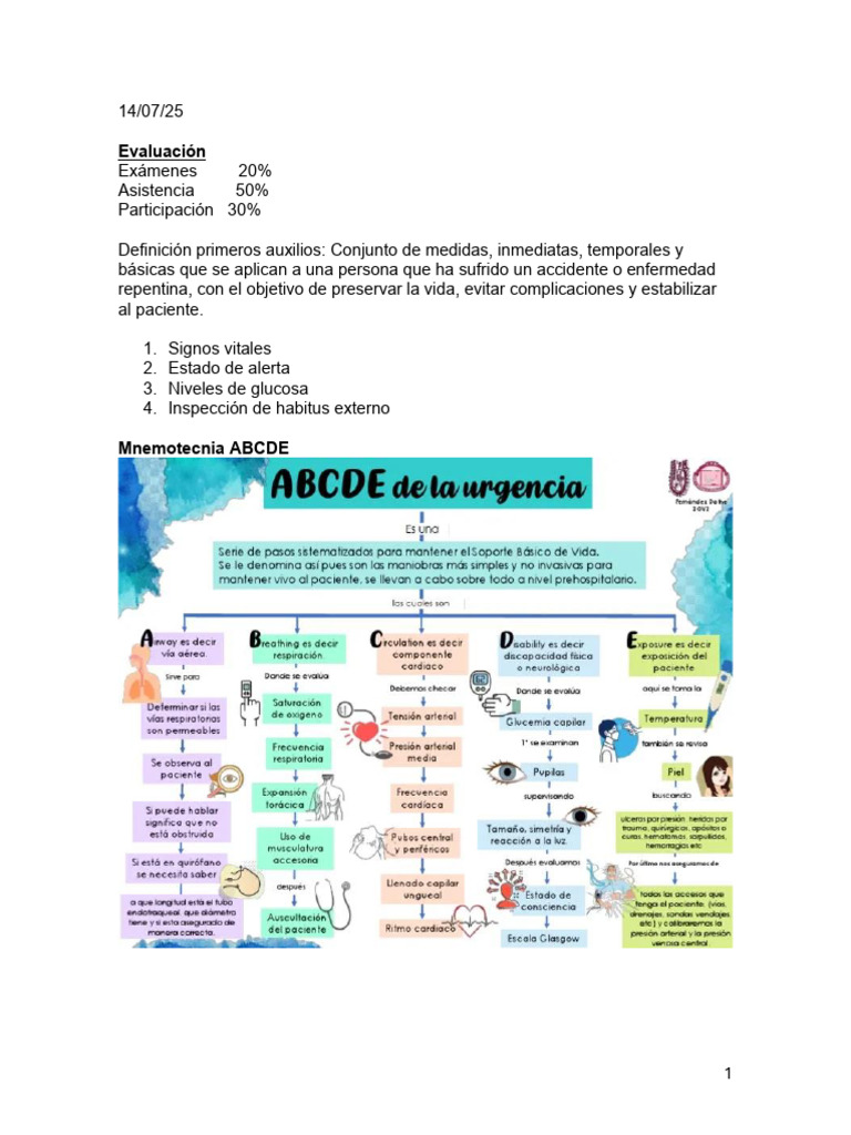 Primeros Auxilios y RCP: Guía Completa | PDF | Rodilla | Quemar