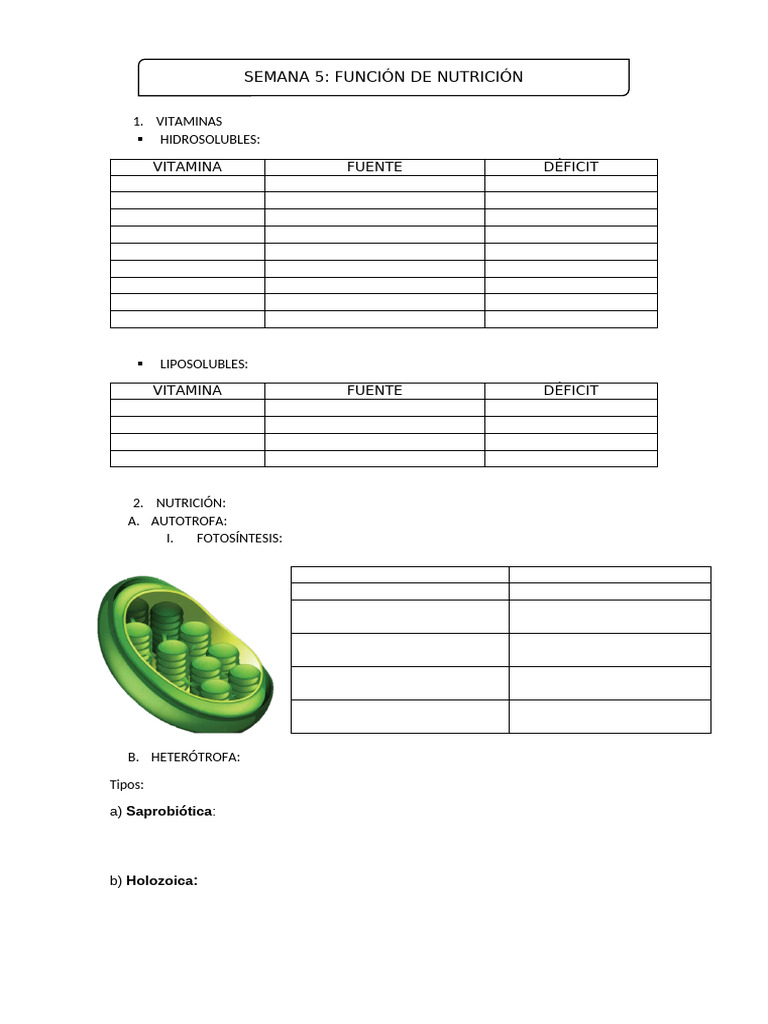 Función de Nutrición | PDF
