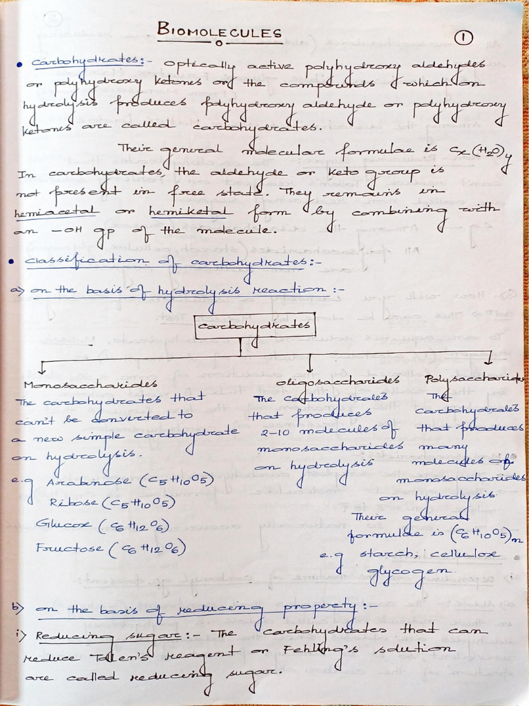 Notes On Biomolecules | PDF
