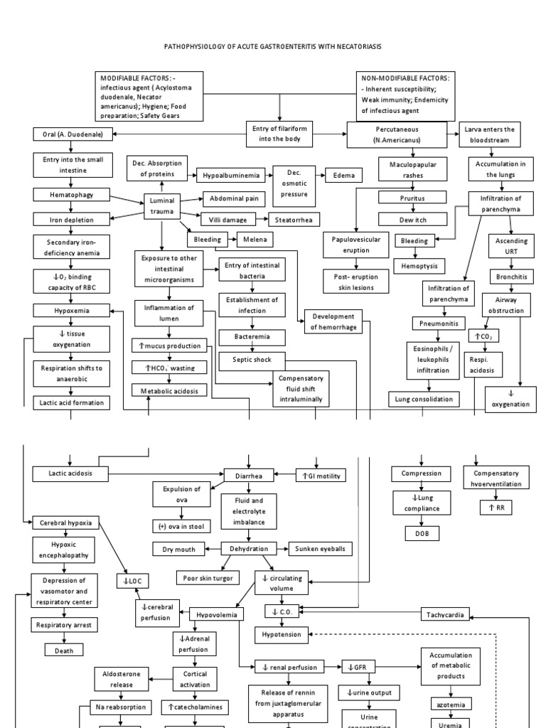 Pathophysiology of Gastroenteritis, Dehydration, and Necatoriasis