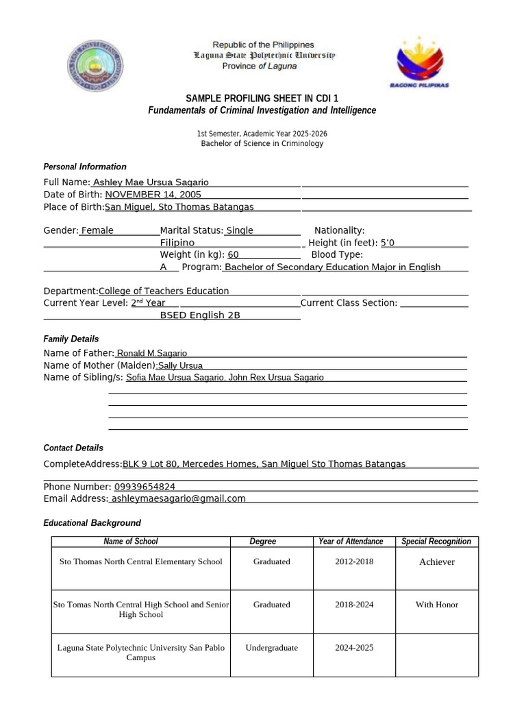 Criminal Investigation Profiling Sheet | PDF
