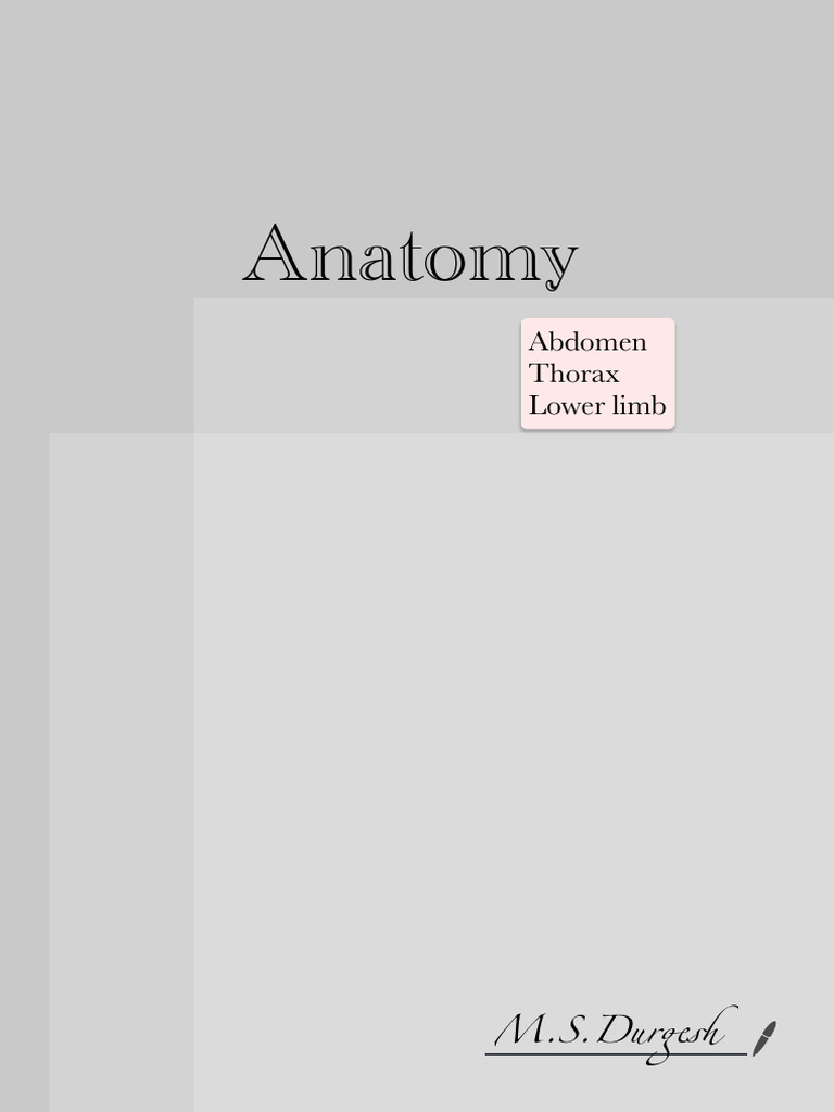 Anatomy (Ms Durgesh) | PDF