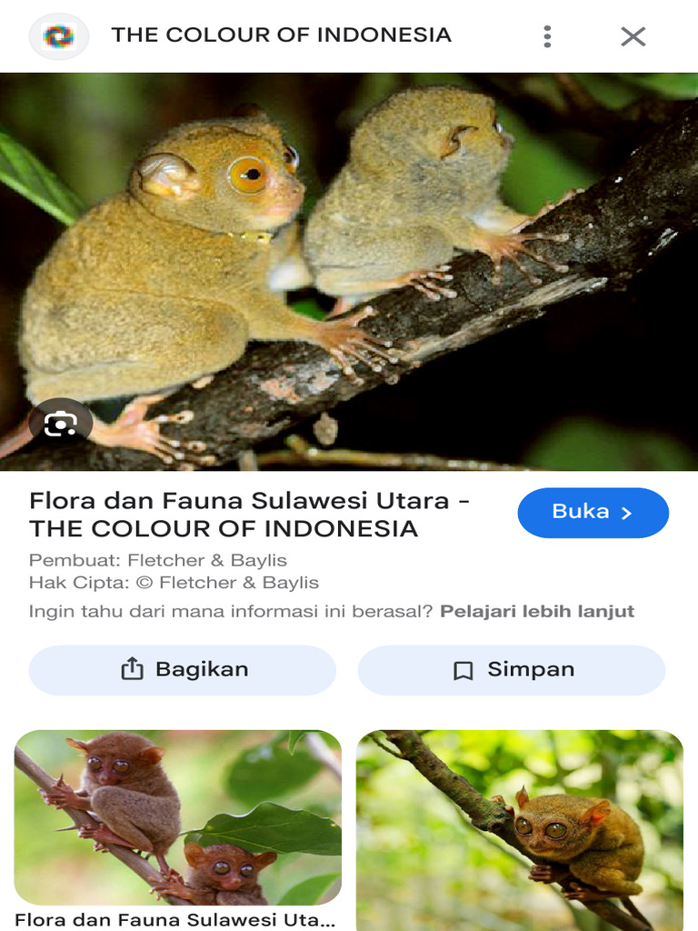 Flora dan Fauna Endemik Sulawesi | PDF