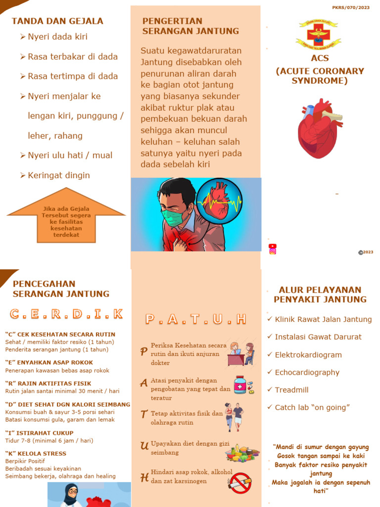a4 Leaflet Acs | PDF
