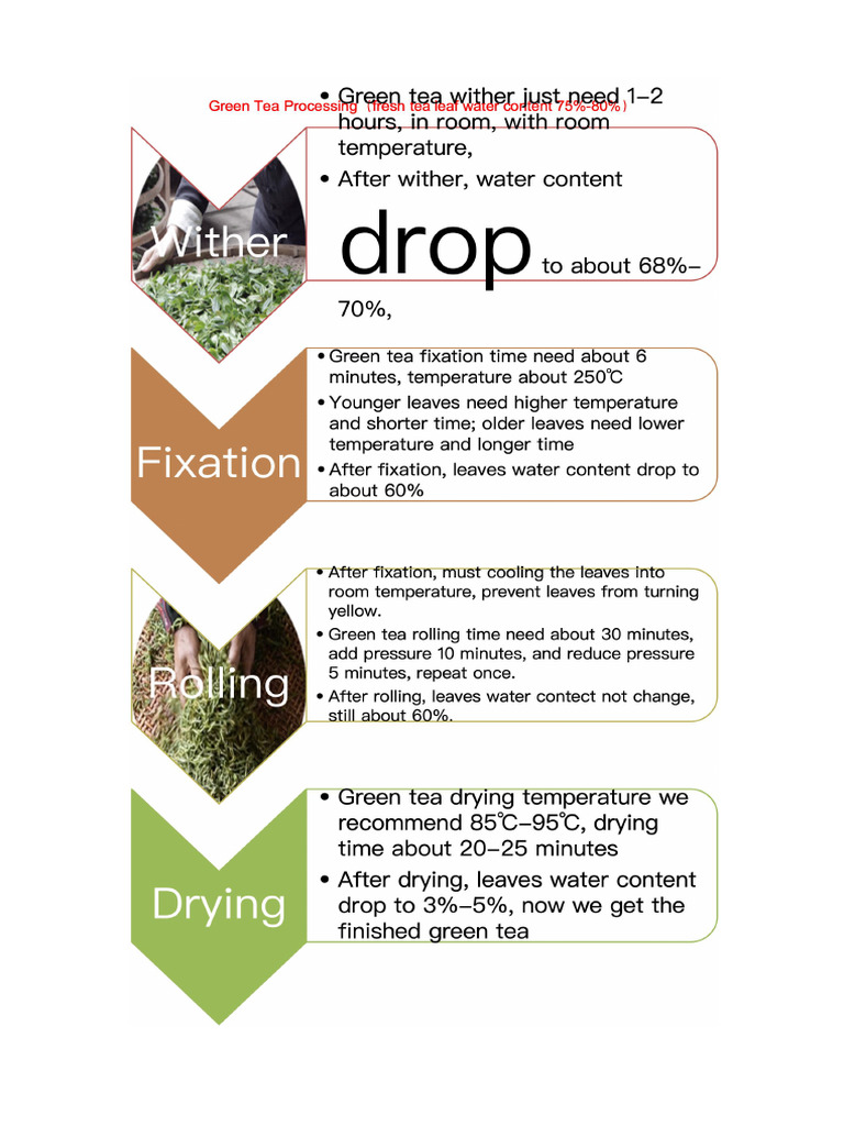 Tea Processing Techniques Explained | PDF | Tea | Hot Drinks
