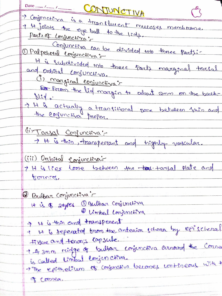 Anatomy Notes | PDF