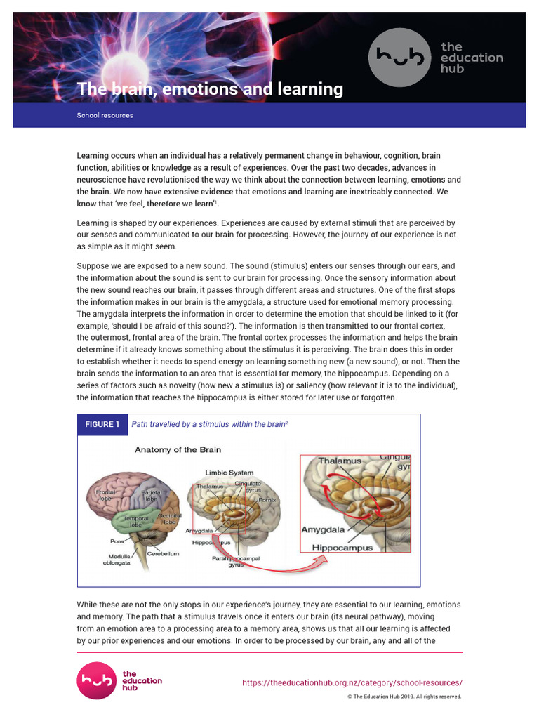 The Brain Emotions and Learning | PDF | Perception | Learning