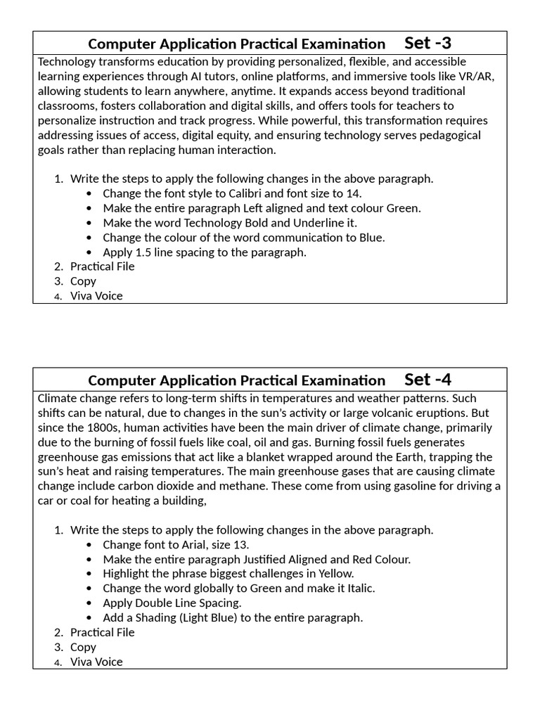Computer Application Practical Examination Set | PDF