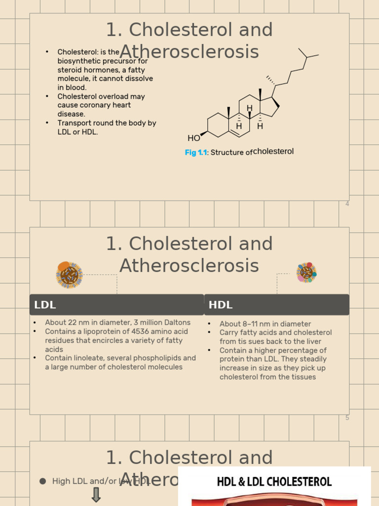 Cholesterol's Role in Atherosclerosis | PDF