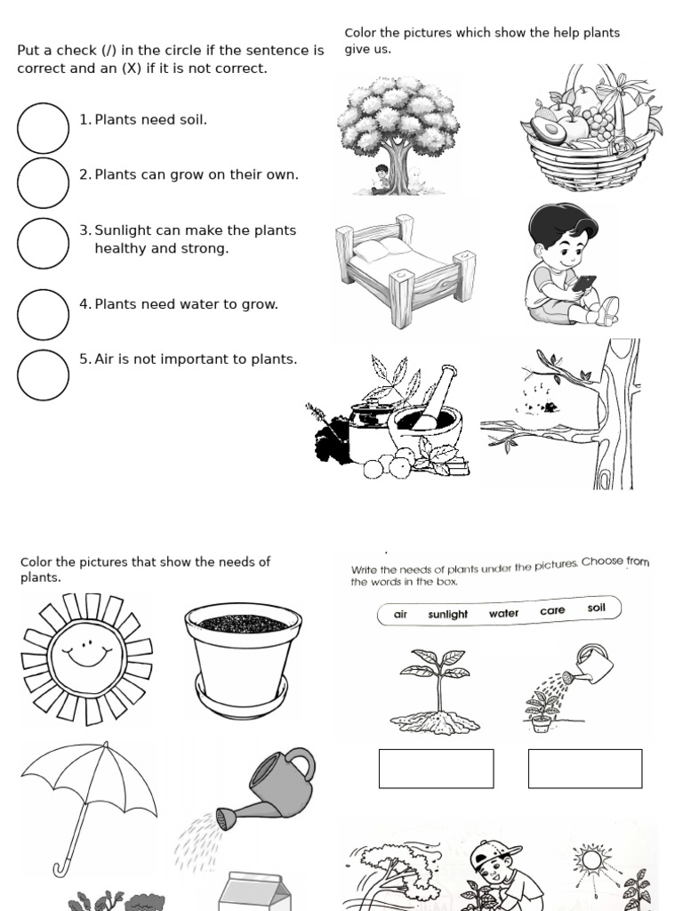 Plants | PDF
