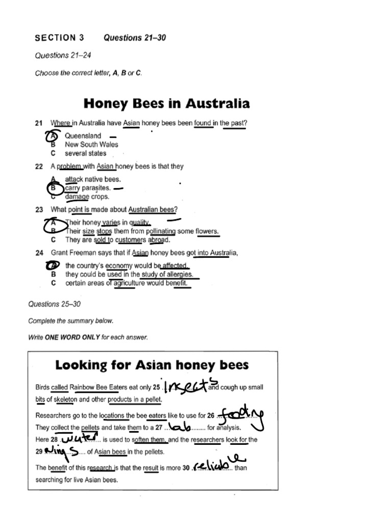Fun 6 - Listening Part 3 - Bees | PDF