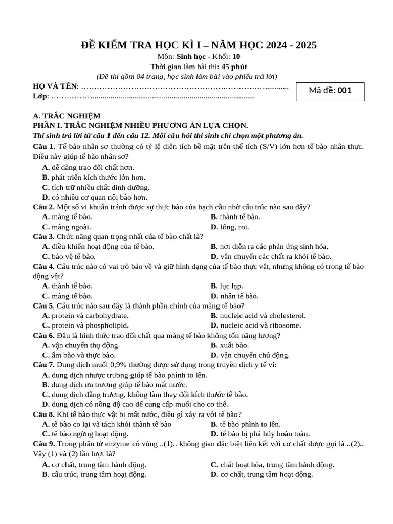 25.26 - SH10 - DT Chki - 001 | PDF