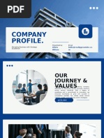 Wardiere Inc. Company Profile Overview | PDF | Audit | Sustainability