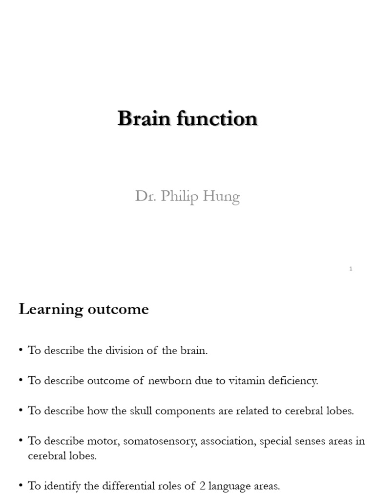 Brain Structure and Function Overview | PDF | Cerebrum | Brain