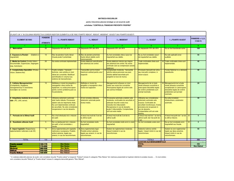 matrice riscuri