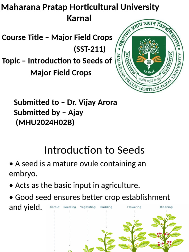 Introduction to Major Field Crop Seeds | PDF | Seed | Chickpea