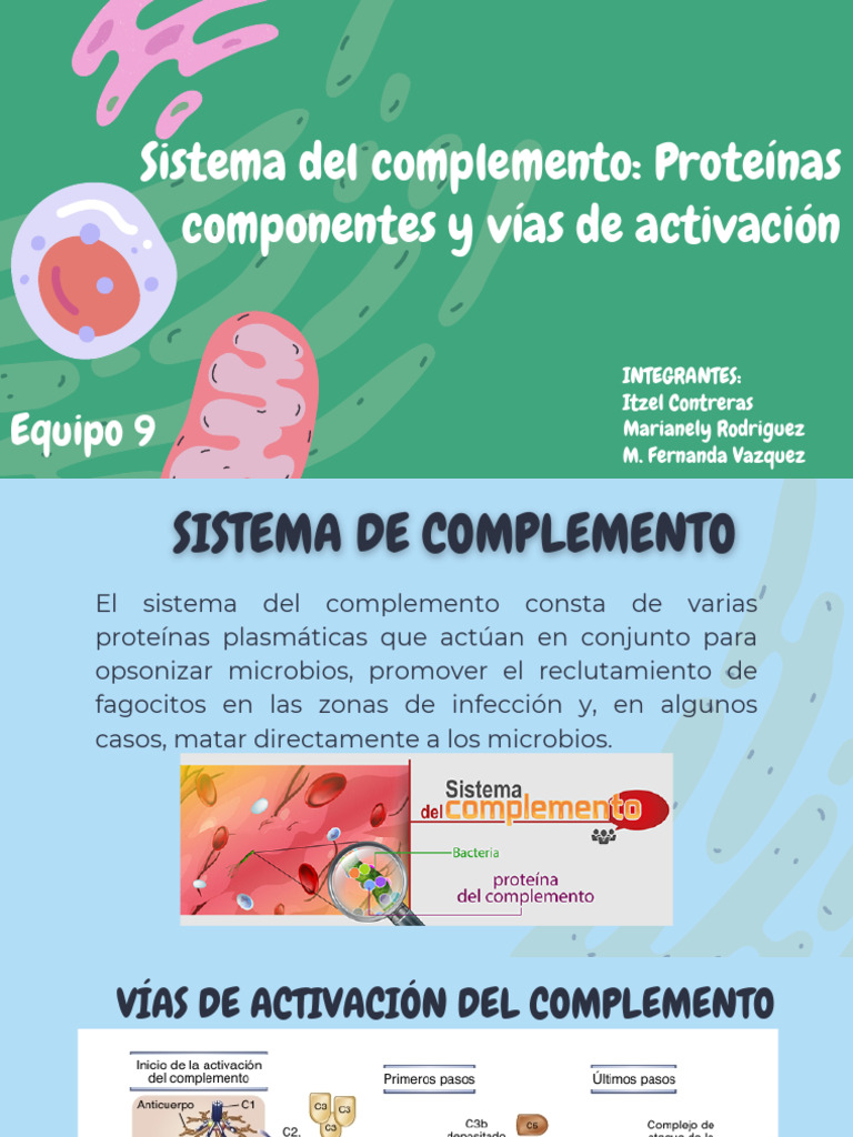 Sistema Del Complemento Equipo 9 | PDF | Sistema complementario ...