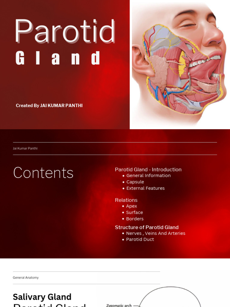 parotidgland202312110159500000-231211045428-b081451a | PDF | Common ...
