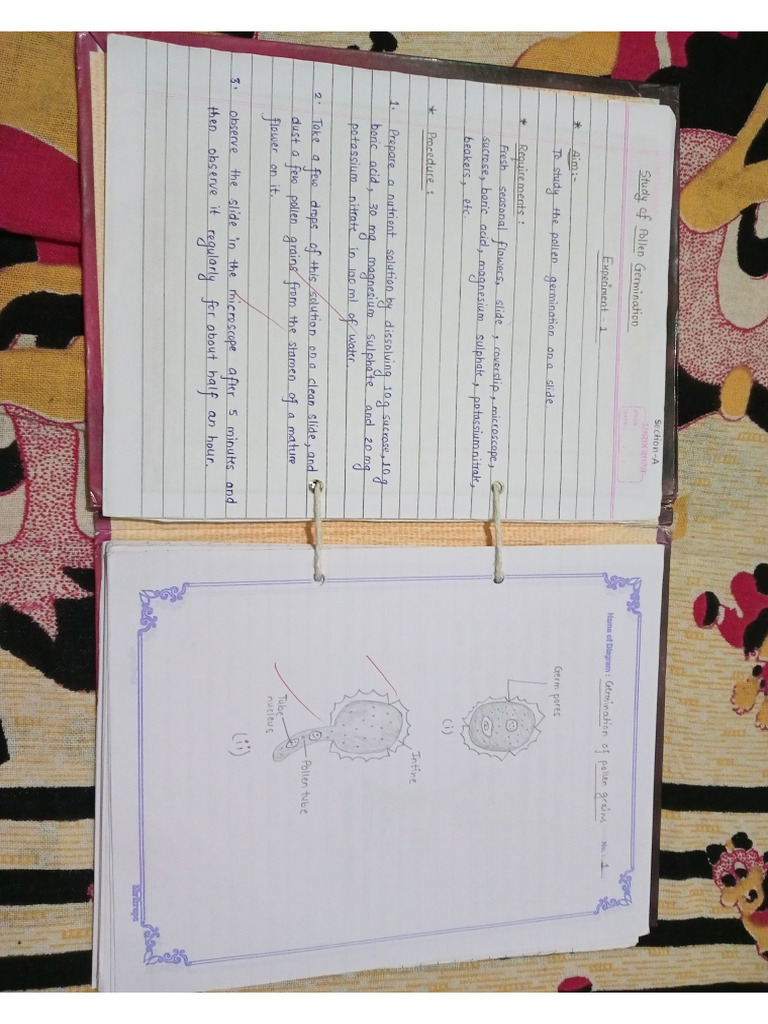 Bio 12th Practical | PDF