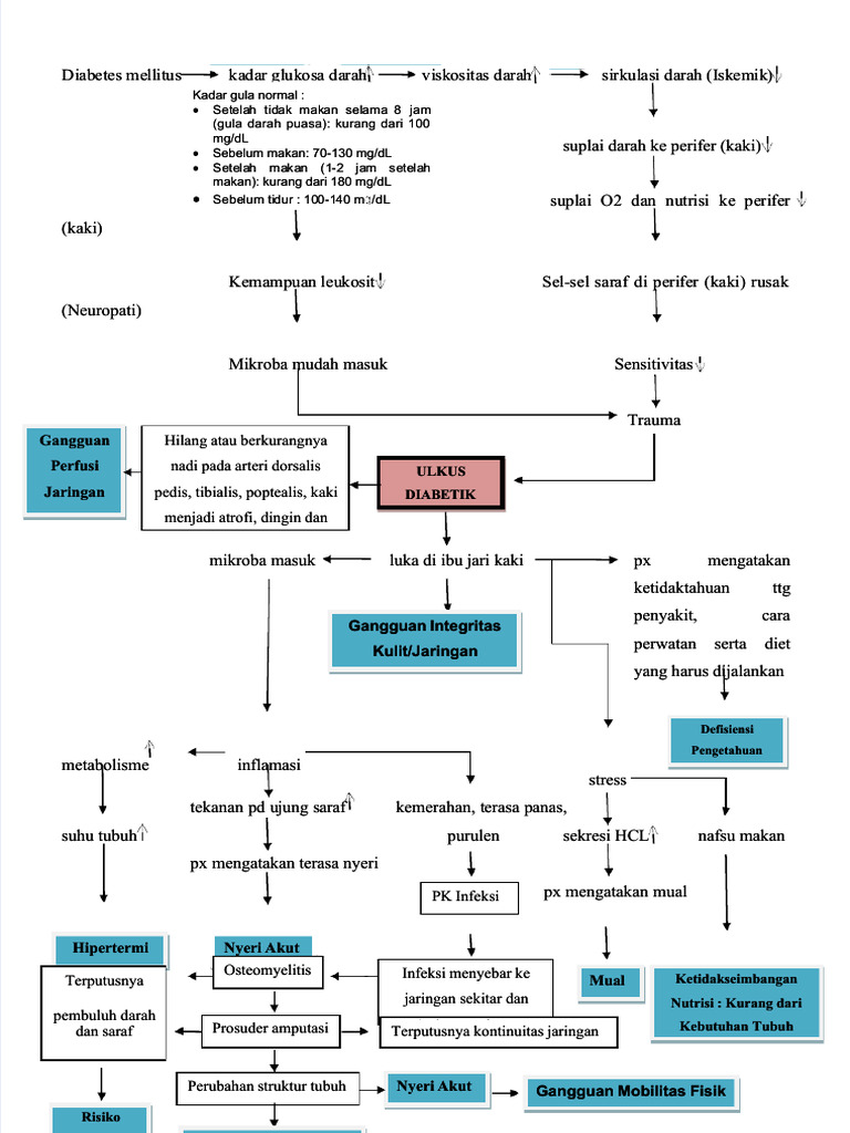 PDF Pathway Ulkus Compress | PDF